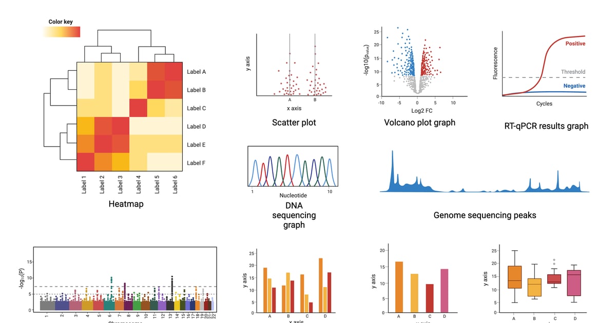 Understanding Bioinformatics Data | A&M Bioinformatics