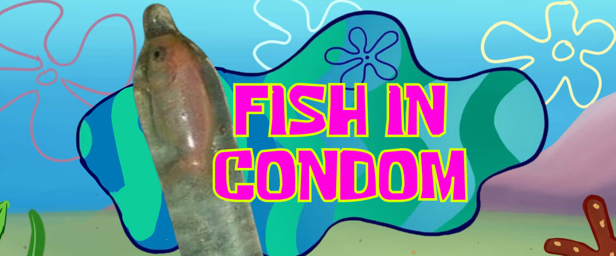 FISH IN CONDOM - $FIC Memecoin on Solana | FISH IN CONDOM $FIC