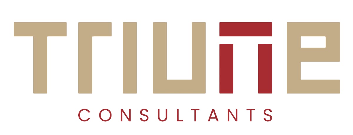 Cost Consultancy Services & Project Management Services | Triune ...