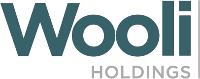 Wooli Holdings: Strategic Investments and Consulting Services | Wooli ...