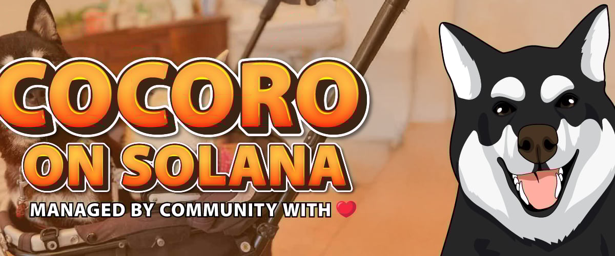 Cocoro: The Newest Member of the Kabosu Family | COCORO