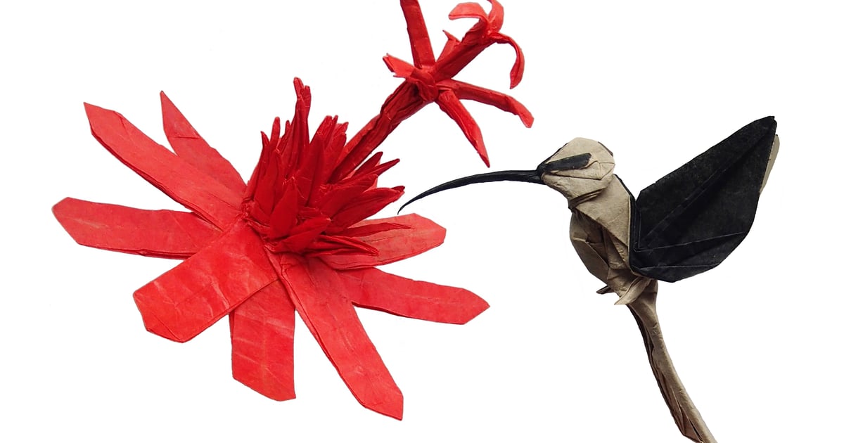 Instructions | Cekouat León Origami