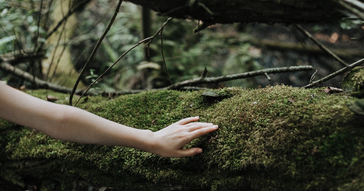 Meigas Fóra - Elaboración artesanal de licores, orujos y aguardientes ...