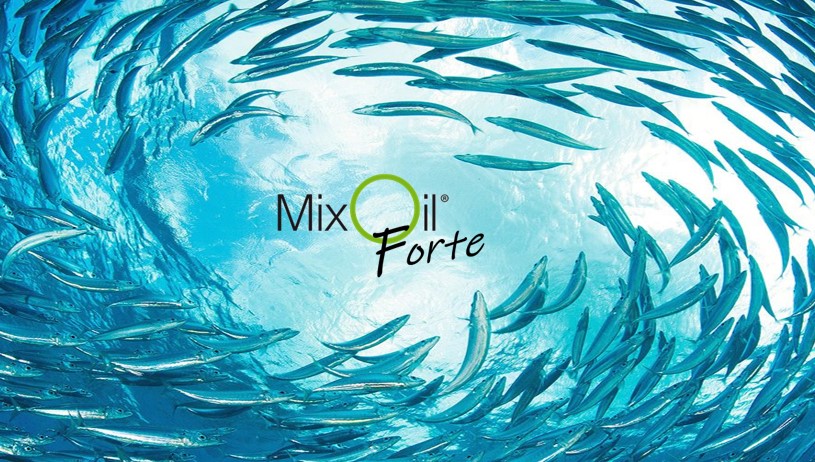 Ensayos con Camarones Blancos | NUTRIPACIFIC