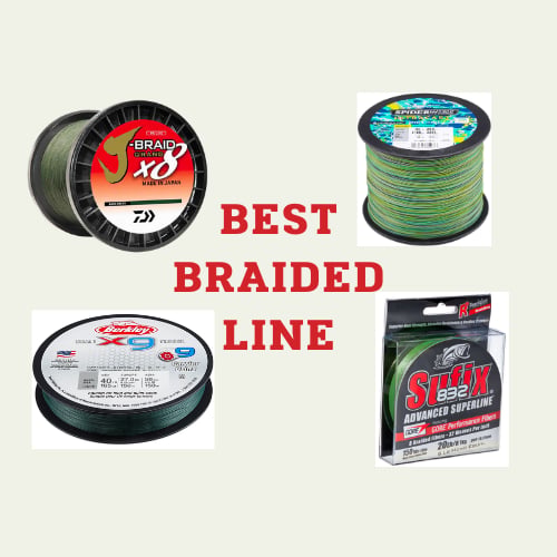 Low Visibility vs High Durability Fishing Line: Which is more important ...