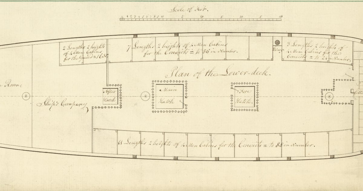 Layout of a Convict Ship | Botany Baymen
