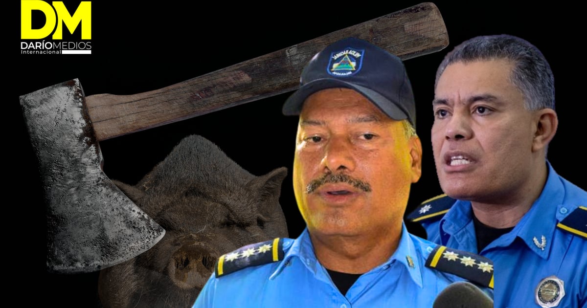 Régimen purga de la Policía a Fidel Domínguez y a Jaime Vanegas | Darío Medios internacional