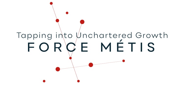 Force Métis: Cloud Solutions and Digital Transformation Experts | Force Métis
