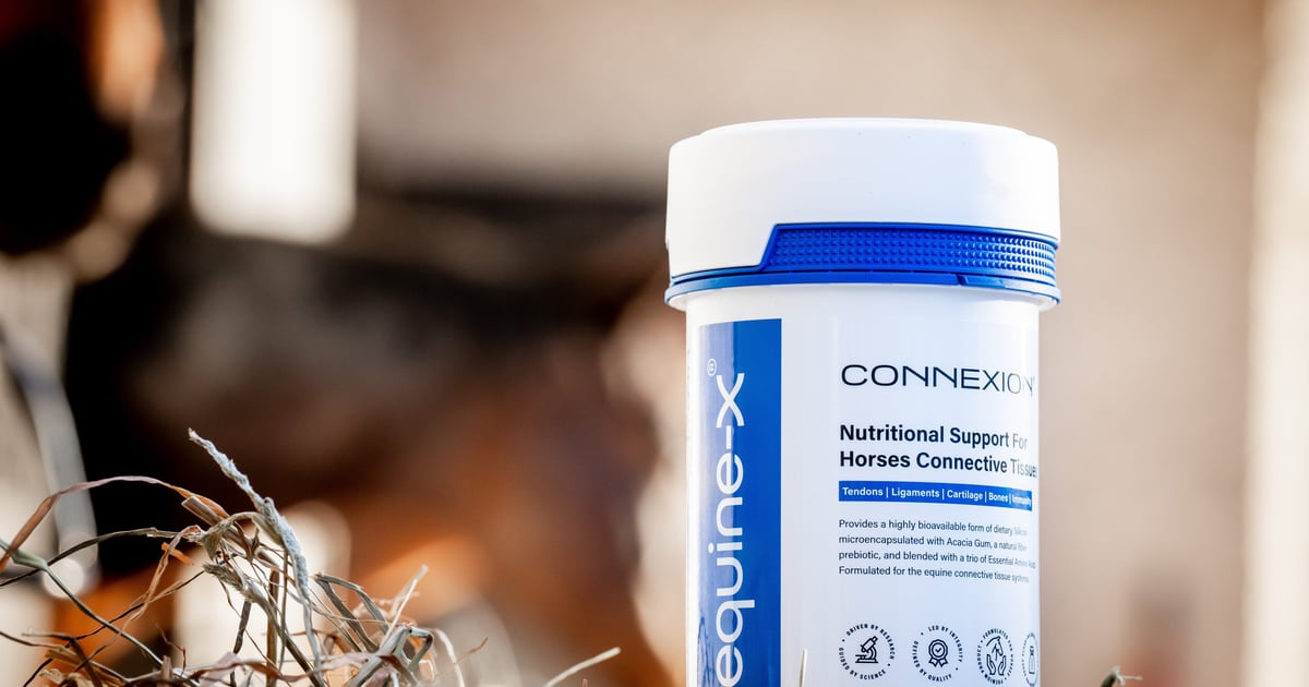 High-Quality Connexion Horse Supplement for Equine Connective Tissues ...