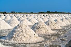 Premium Salt Manufacturer and Wholesaler in Nawa, India | SAMBHAR SALT