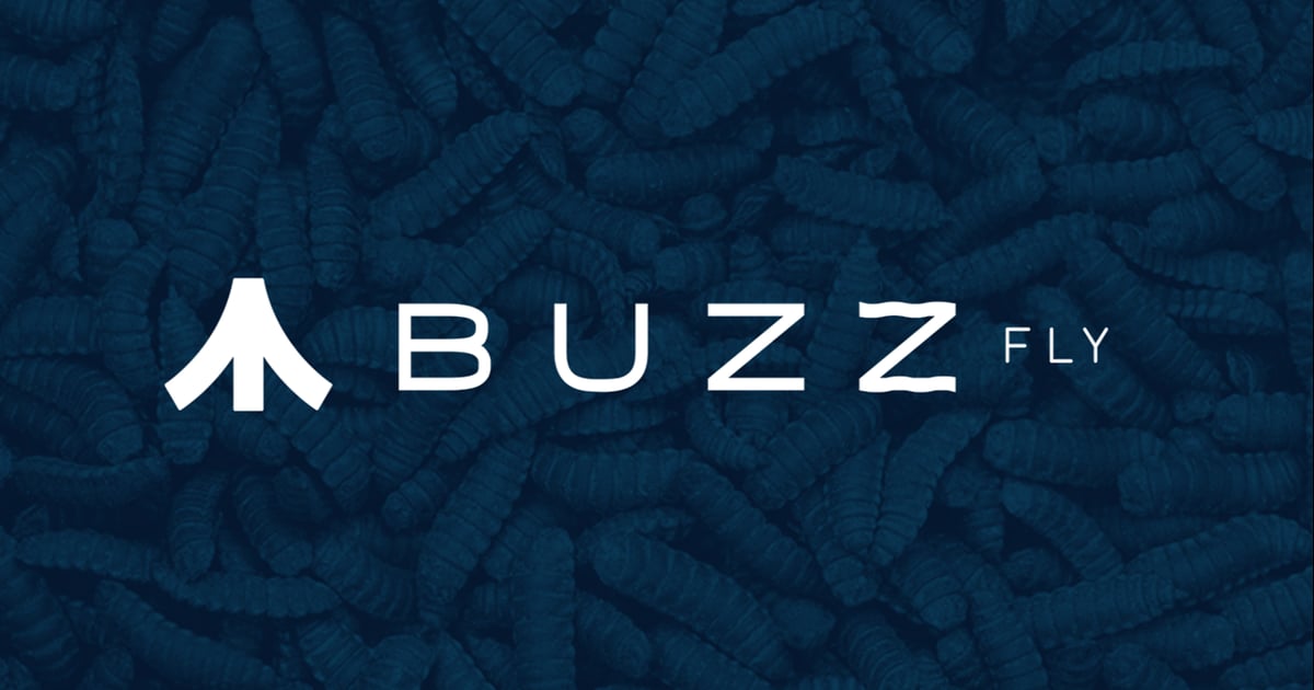 Descubra a equipe por trás da biotecnologia sustentável | Buzz Fly ...