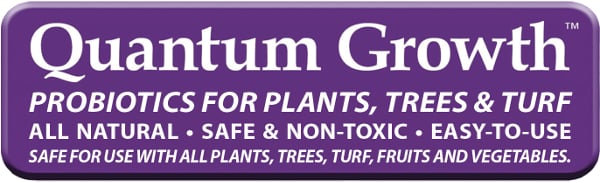 Boost Nutrient Absorption with Quantum Growth Probiotics Supplement ...