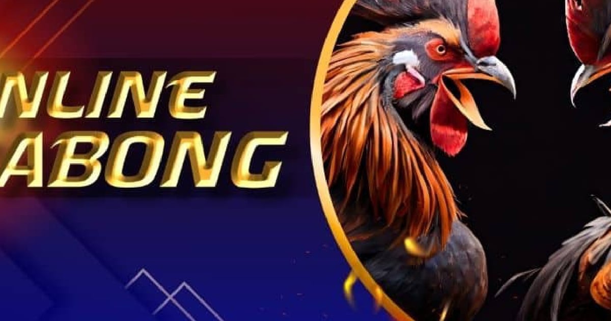 Sabong Grandmaster Cup Official Website - Live Matches, Secure Betting | SABONG GRANDMASTER CUP
