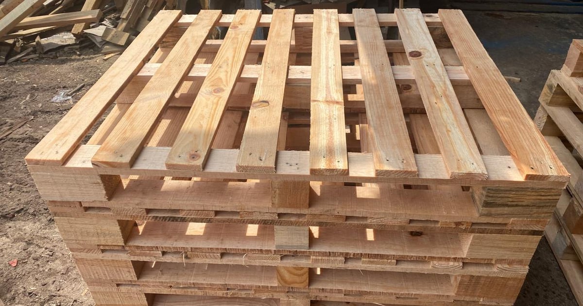 Fabricación de empaques y pallets en México | empaquesypallets