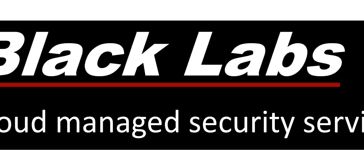 24/7 Security Monitoring & Threat Management Services | Black Labs Security