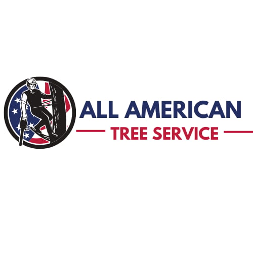 Tree Removal Service - Professional Tree Services | A American Tree Service