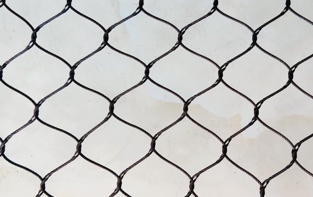 The Benefits of Stainless Steel Cable Mesh for Bird Cages | zoo mesh