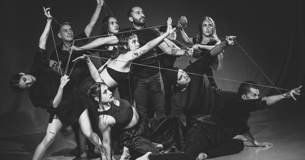 AnDanza Colectivo en Movimiento A. C. | AnDanza Colectivo en Movimiento.