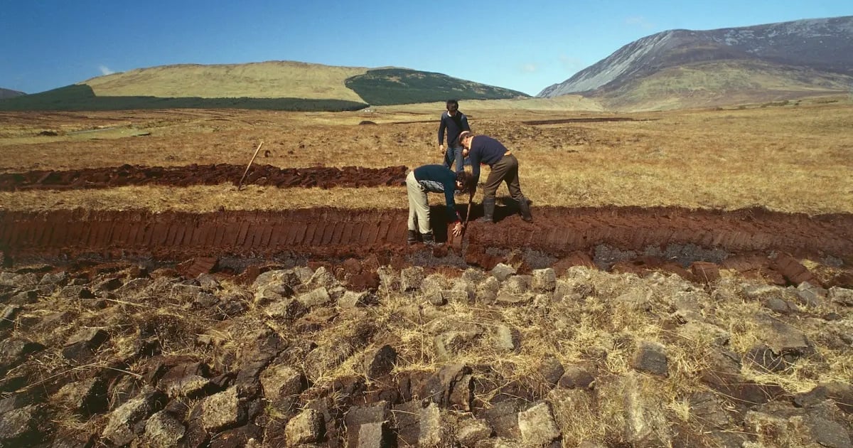 The History and Cultural Legacy or Irish Peat Bogs | Irish Turf