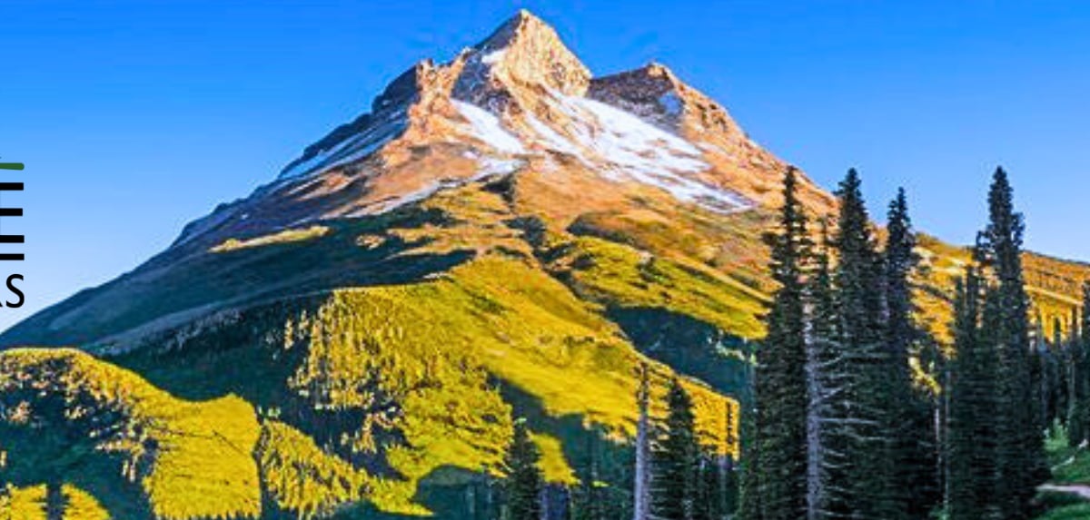 Timberline's Clear Process Roadmap for Success | Timberline Business ...