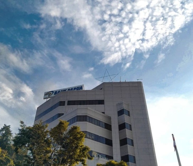 Direksi Bank Papua dan Kepemilikan Saham pada PT. Bank Papua | Kadin ...