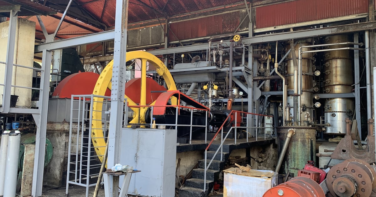 Comprendre la fabrication du Rhum (Fermentation et distillation)