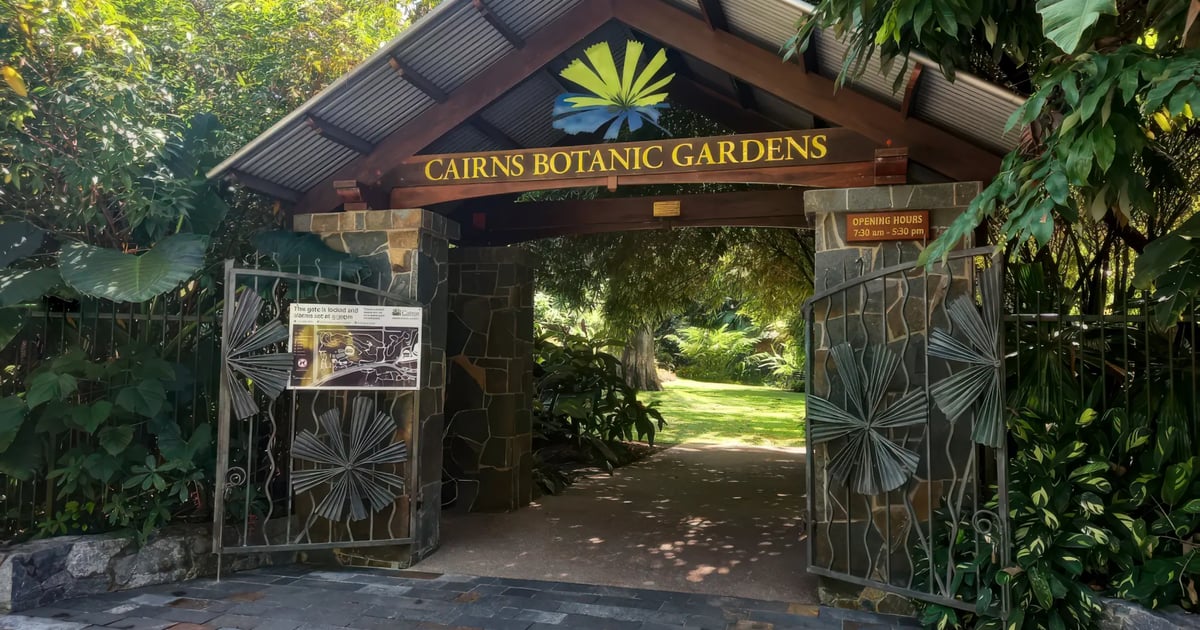 A Family Day at Cairns Botanical Gardens: Your Ultimate Guide | Carins ...