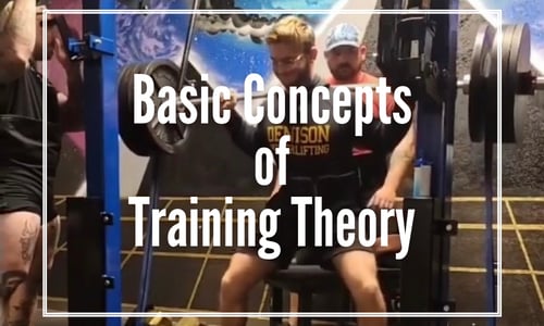 Basic Concepts of Training Theory | 24/7 Strength, strongman and ...