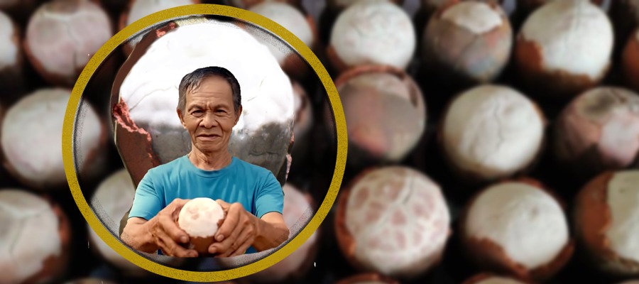 Handcrafted Asin Tibook: Tradition Meets Craftsmanship | Asin Tibook