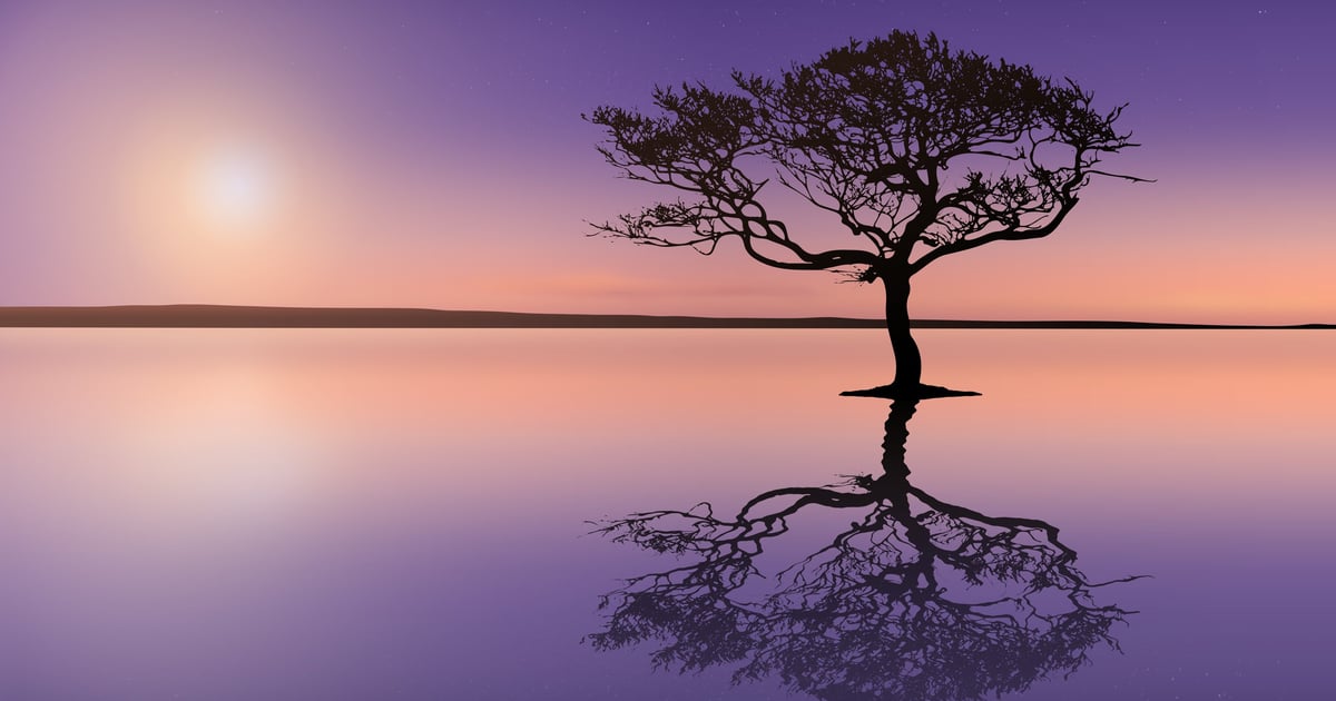 Vivre un Mode de Vie Calme pour un Bien-Être Optimal | Messager Spirituel