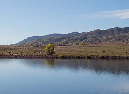 What Does MLSS Mean in Sewage Treatment? A Comprehensive Guide | KN Water & Energy Solutions LLP