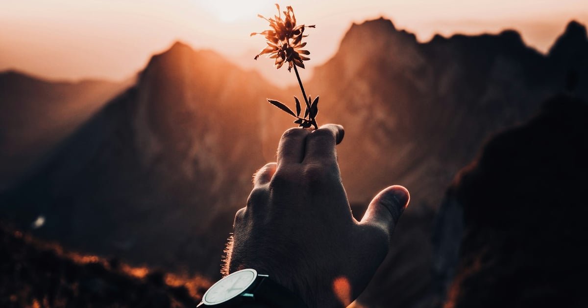 The Psychology of Photography: How to Evoke Emotion in Your Shots ...