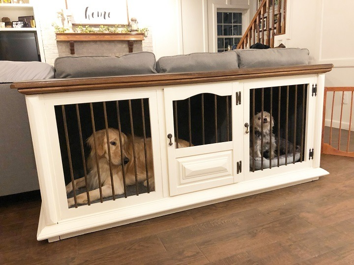 Utilisation d'une caisse ou cage à la maison | École des toutous ...