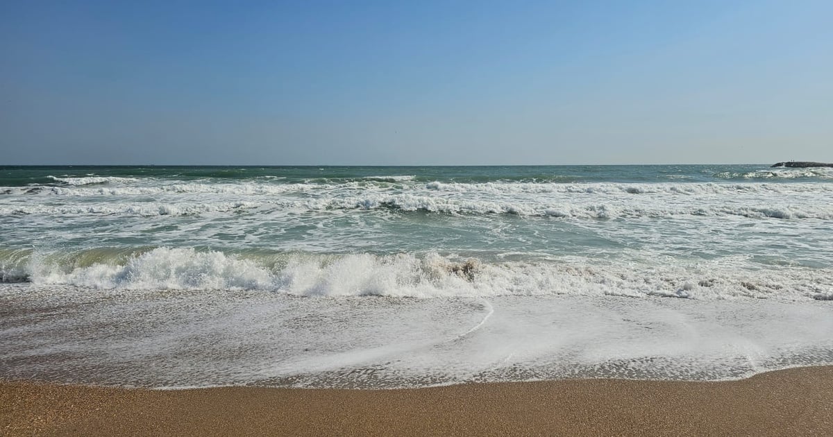 Conductive therapy | Cabinet individual de psihologie PAP ELENA