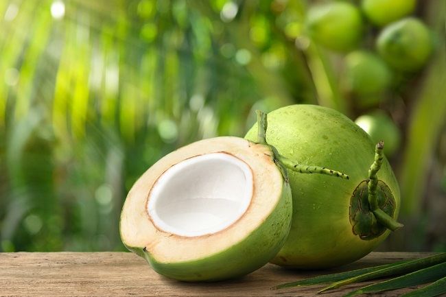The Rising Price of Paradise: Why Indonesia's Coconut Demand is ...