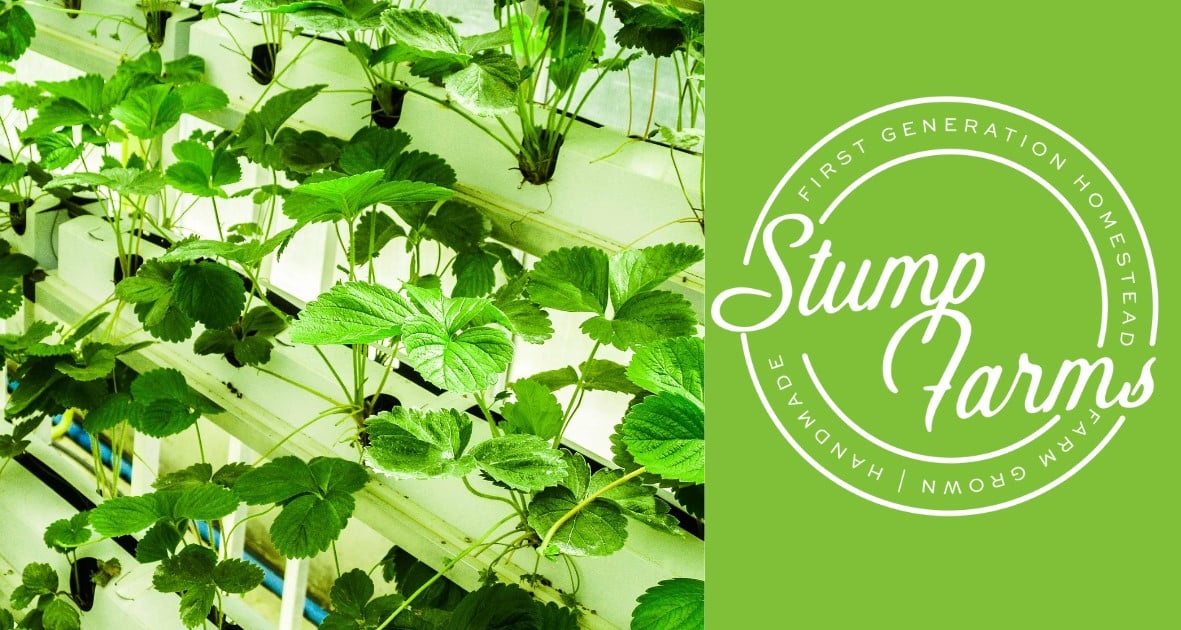 Family-Owned Urban Farm | Stump Farms