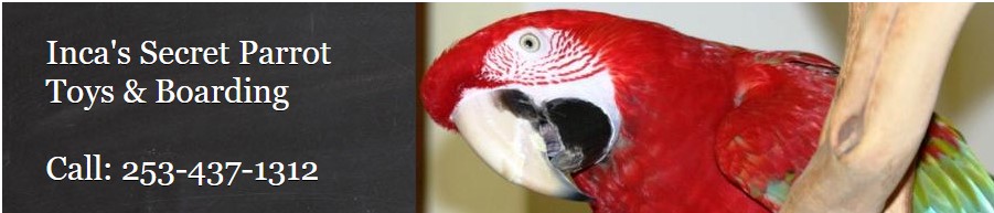 Inca's Secret: Parrot Toys, Boarding, and Care | Inca's Secret Parrot ...
