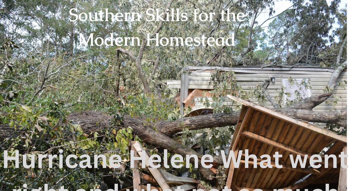 Hurricane Helene. What went right and what not so much | Southern ...