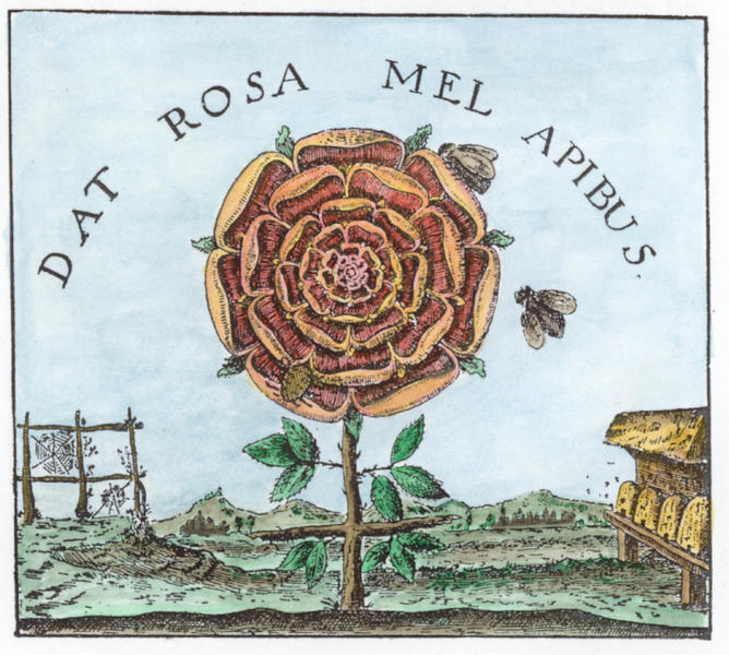 História do Rosacrucianismo: Filosofia e Esoterismo | Rosacrucianismo
