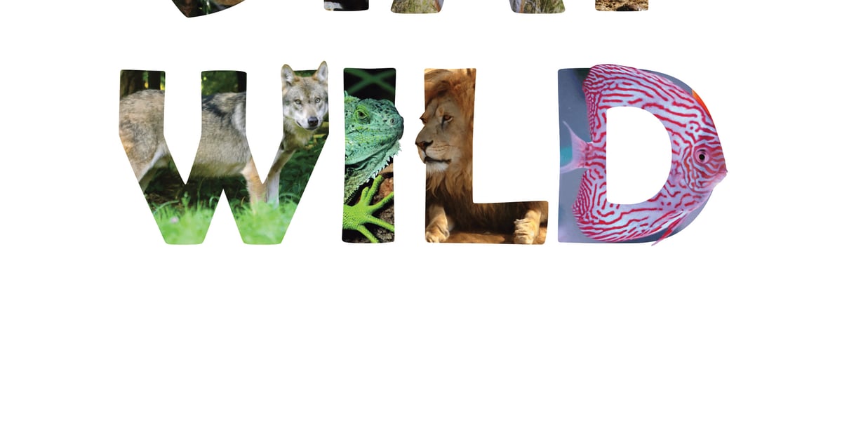 Wildlife Oil Painting Word Art Gallery | Animal Designs for Animal ...