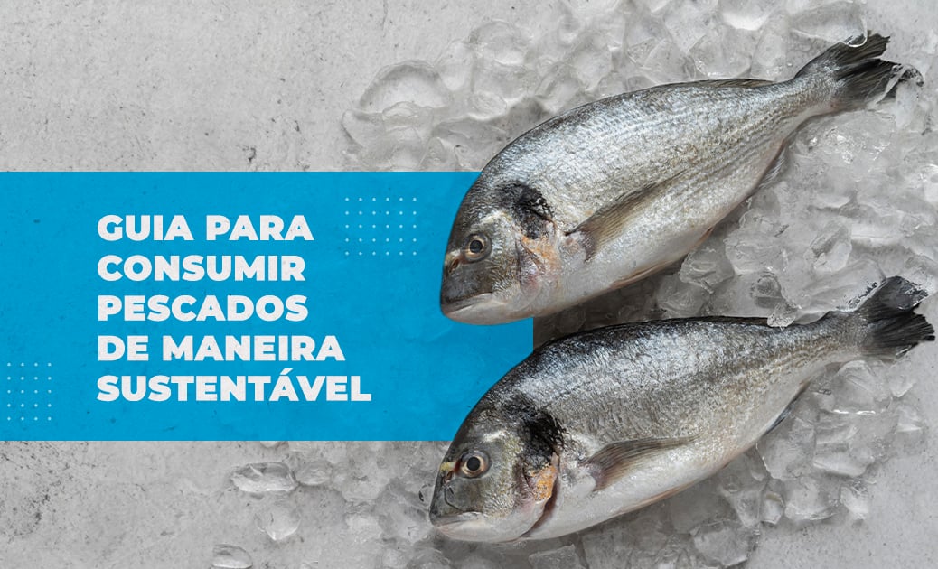 Guia de Peixes Sustentáveis: Como Escolher Peixes que Protegem os ...