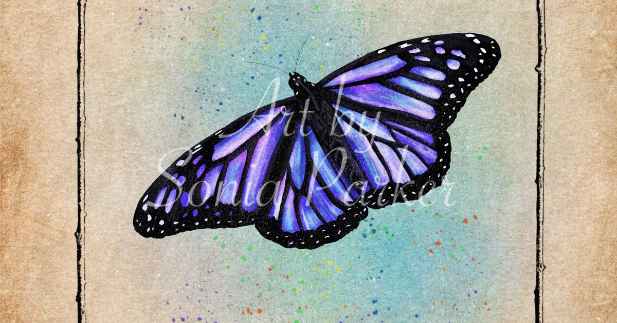 The Butterfly brings Strength, Courage, and Freedom | The Spiritual Centre