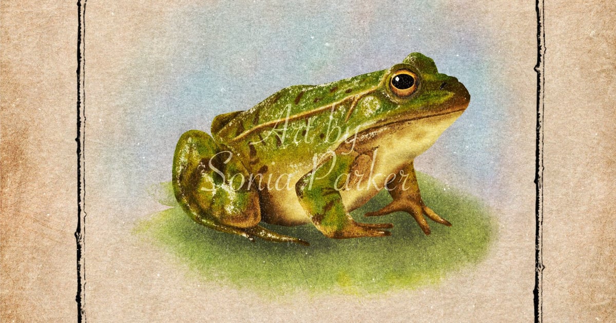 Spiritual Meaning of Frog: Symbolism and Power of Three | The Spiritual ...
