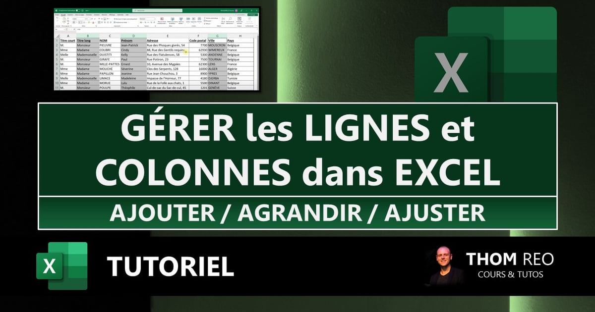 GÉRER les LIGNES et COLONNES dans EXCEL: agrandir, ajuster, ajouter ...
