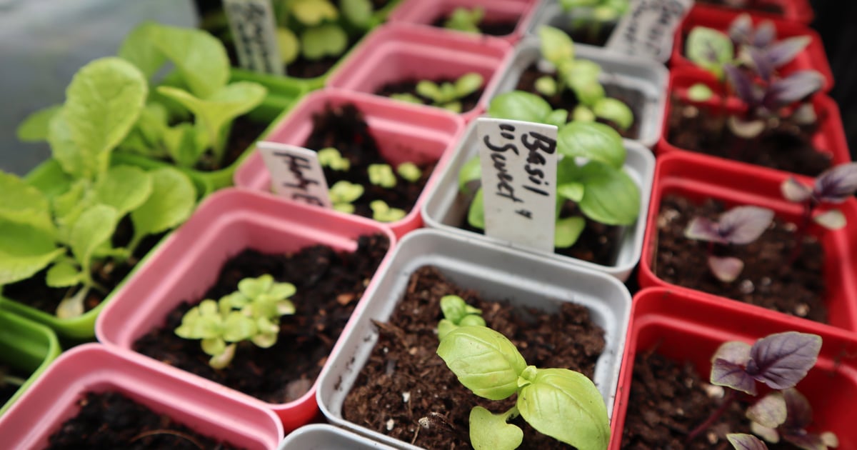 Download a Free Copy of Bloom and Wilt Gardens Plant and Seed Planning List! | Bloom and Wilt ...