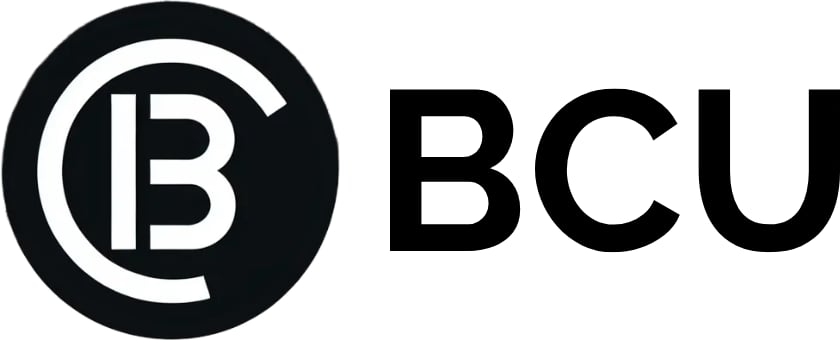 Customized Recruitment Solutions for Business Success | Boston ...