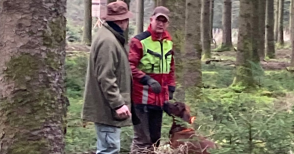 Association de bénévoles pour la recherche de gibier blessé | ABUCS