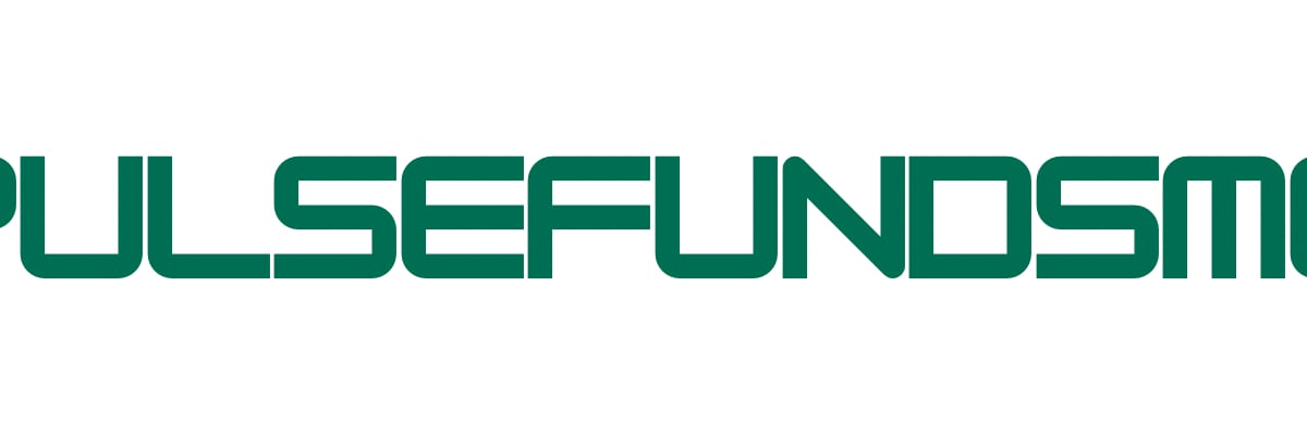 Fast Online Personal Loans - Instant Approval | PULSE FUNDS ME