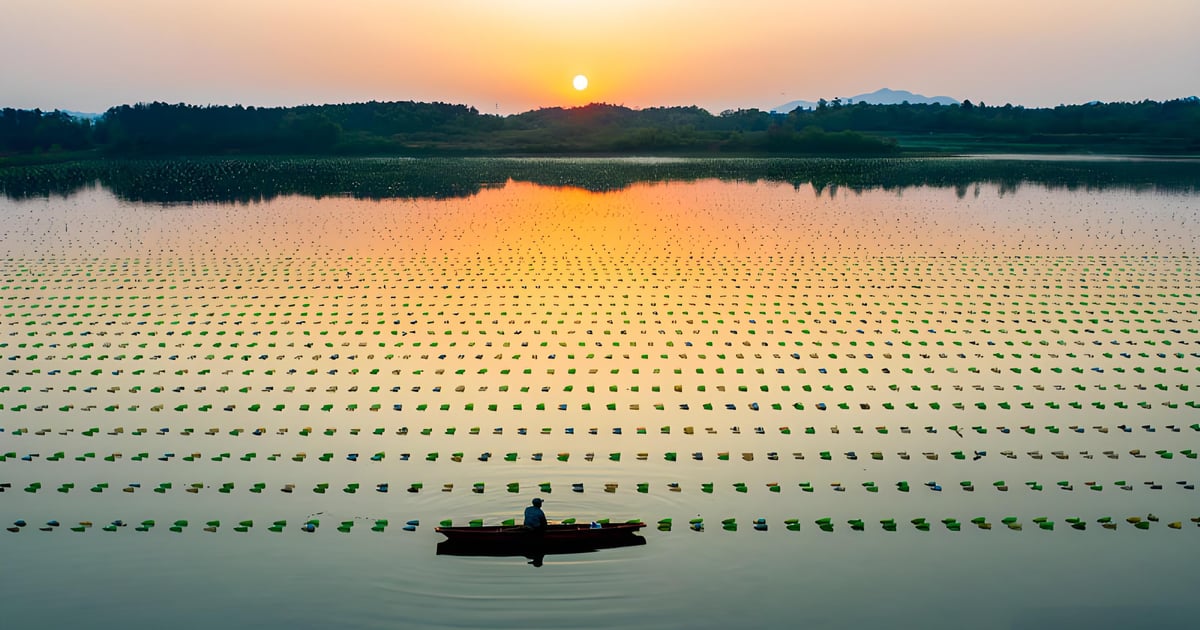 Discover Zhejiang Zhuji Pearls' Beauty and Sustainability | LEIGLO