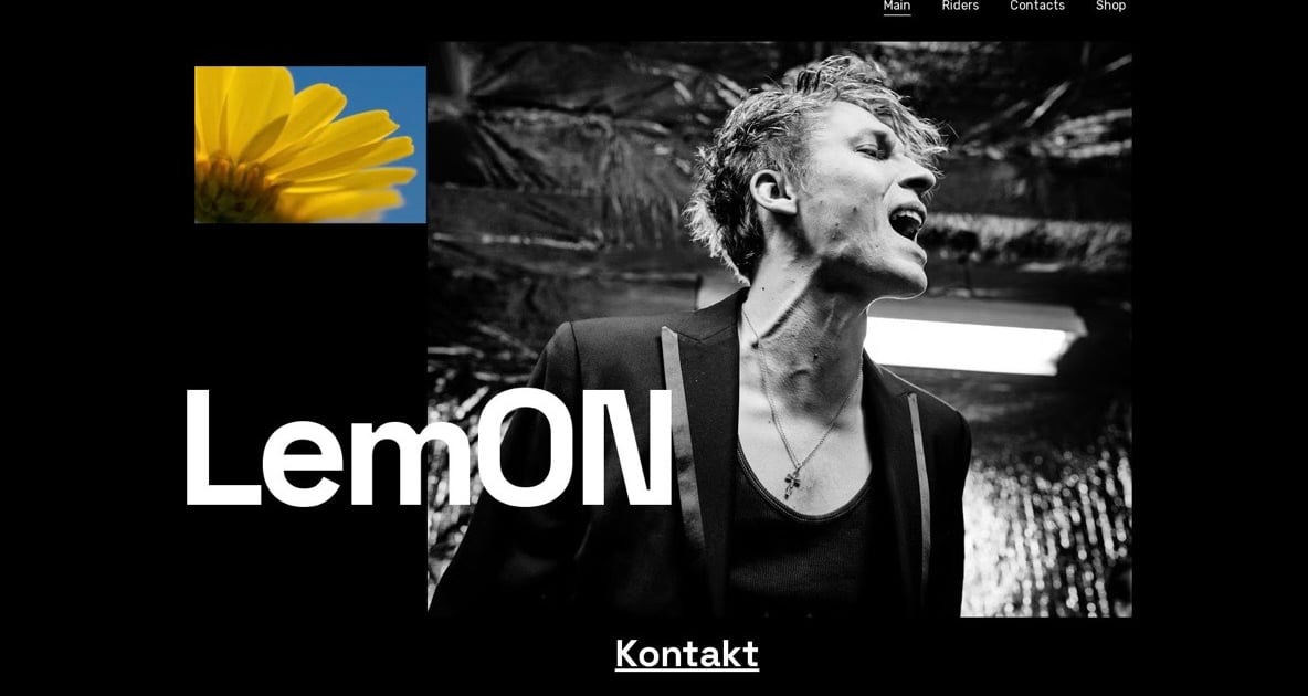 Oficjalna strona zespołu LemON